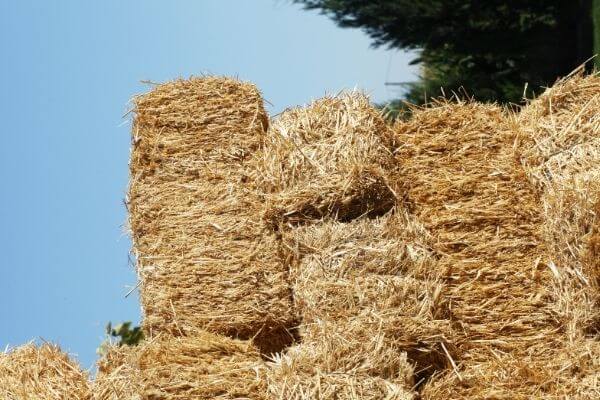 ¡24 lugares para comprar pacas de heno cerca de mi! - Como vivir del cuento