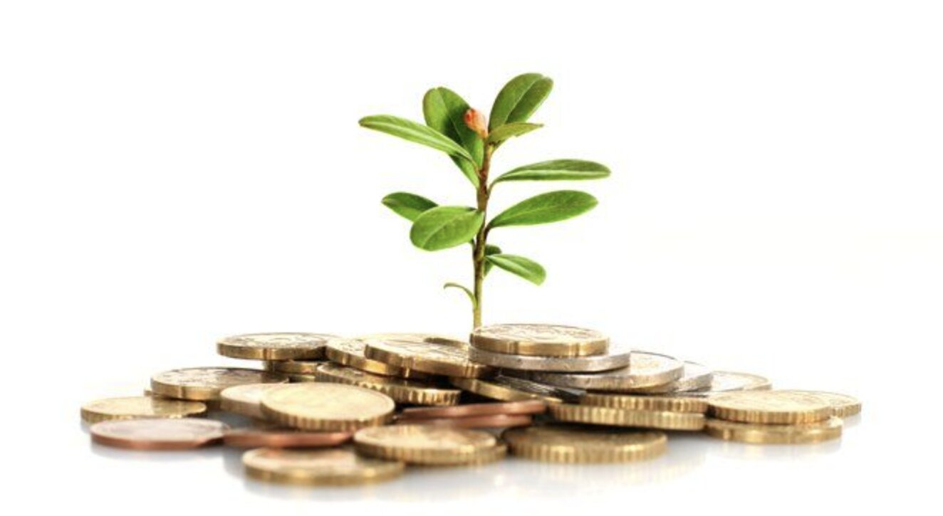 Cuentas Ahorro Remuneradas 2024: ¡Encuentra La Mejor Opción Para Ti! 💰 ...